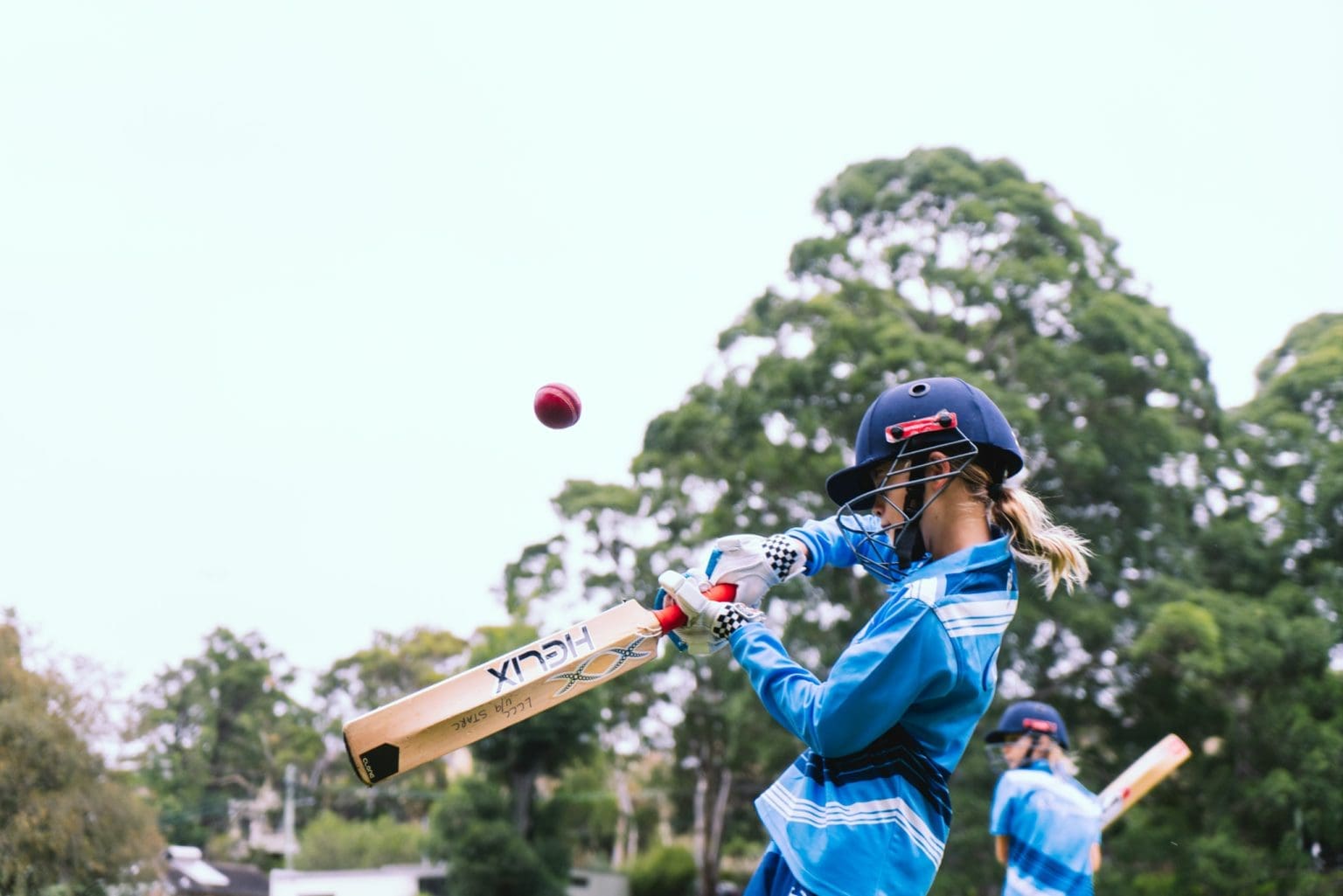 Welcome to LCCC | Lane Cove Cricket Club